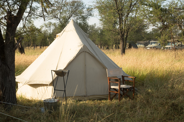 Fly Camps - A Step Ahead